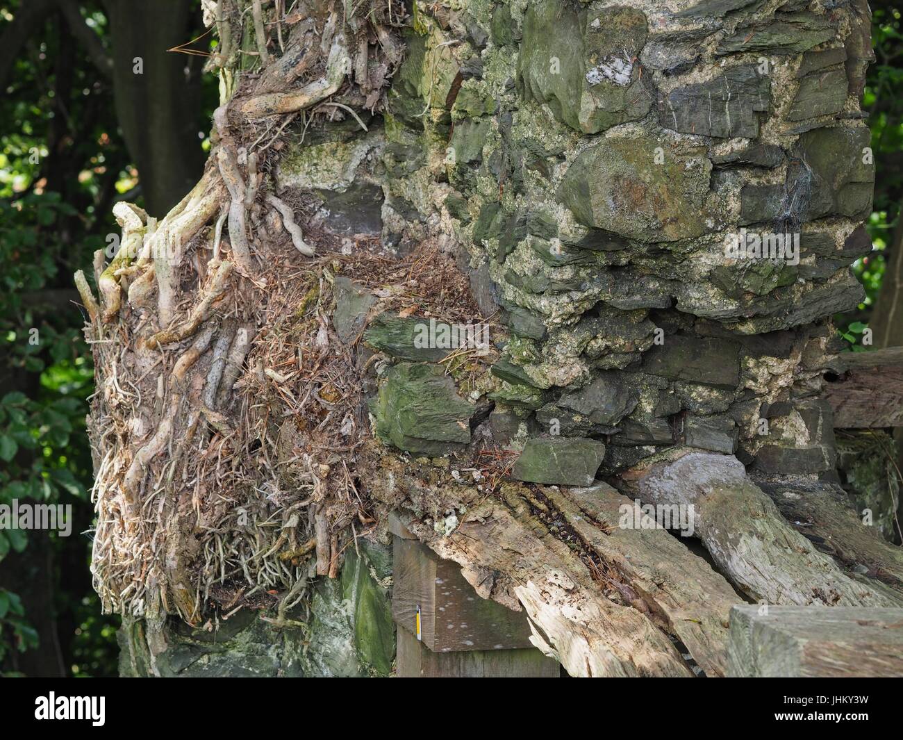 Peel Tower East Hill Braunton, built 1857 for Thomas Mortimer of ...