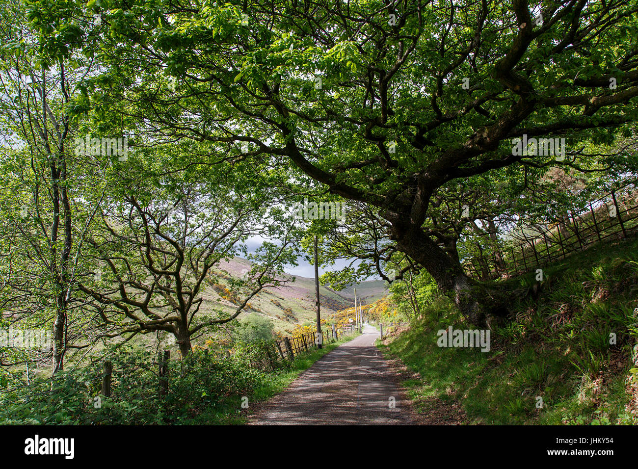 Footpath - Lliw Valley Reservoir Stock Photo - Alamy