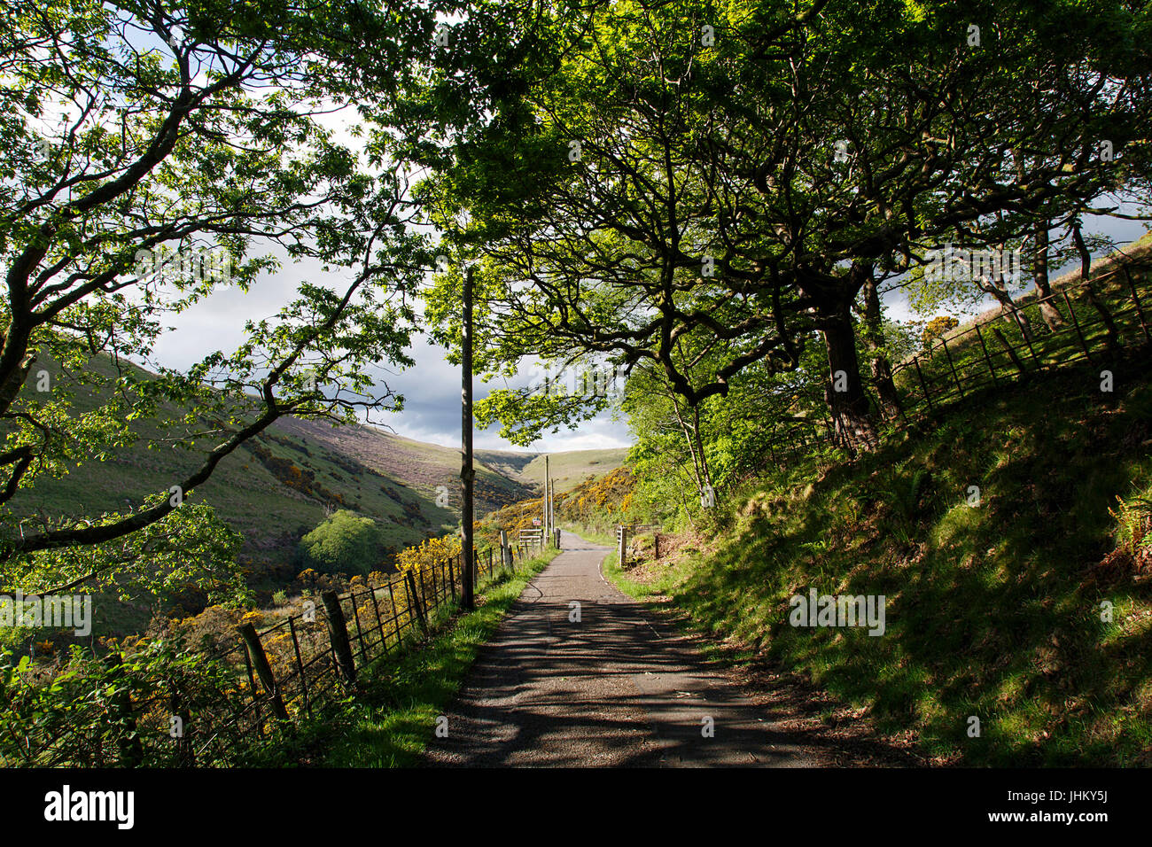 Footpath - Lliw Valley Reservoir Stock Photo - Alamy