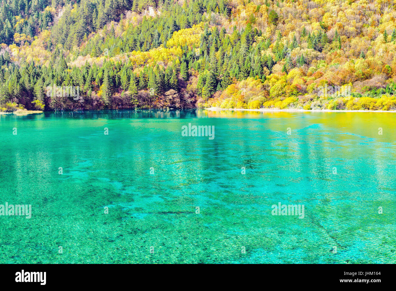 Five flower lake hi-res stock photography and images - Alamy