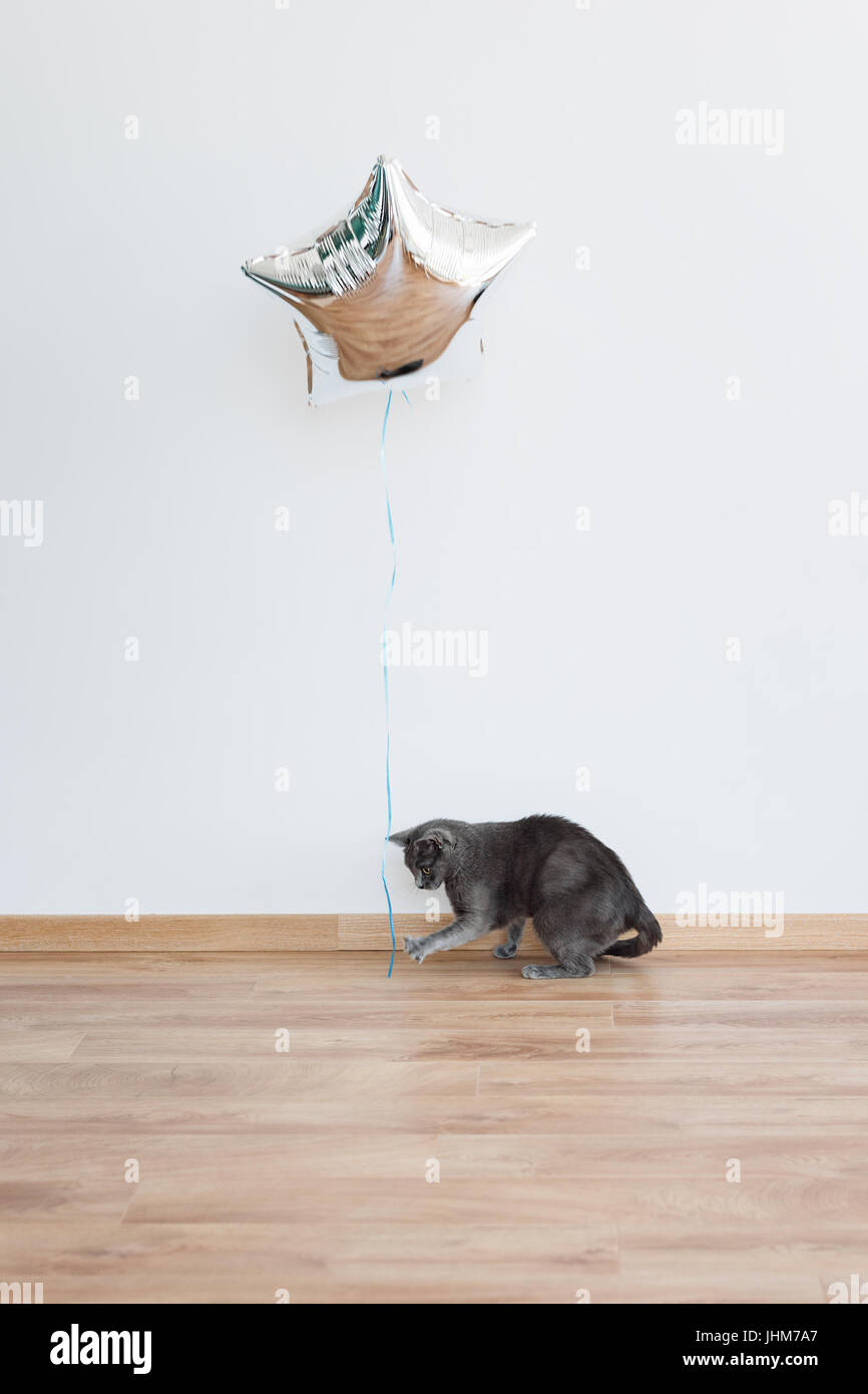 Animated cat hi-res stock photography and images - Alamy