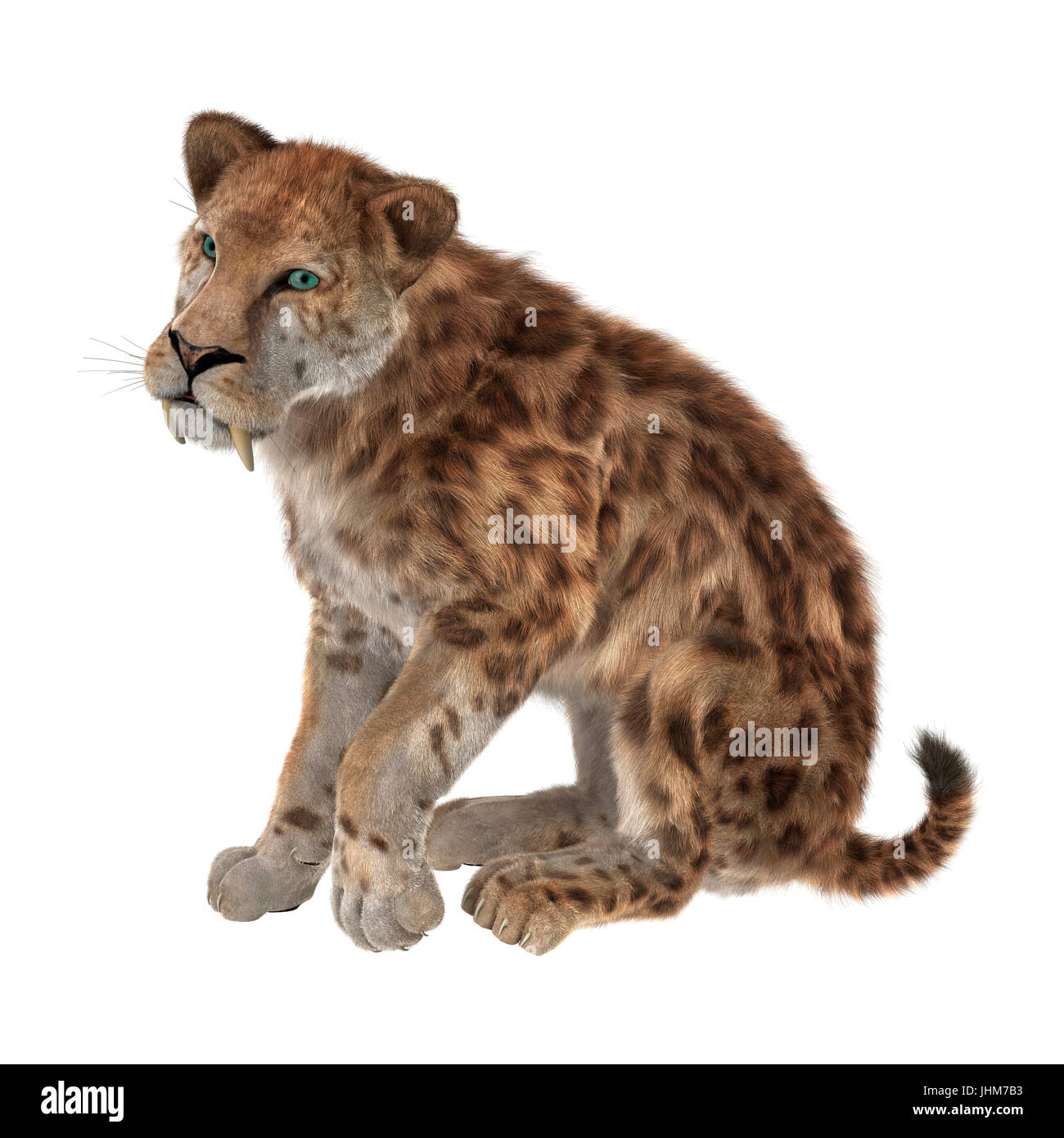 Saber tooth tiger hi-res stock photography and images - Alamy