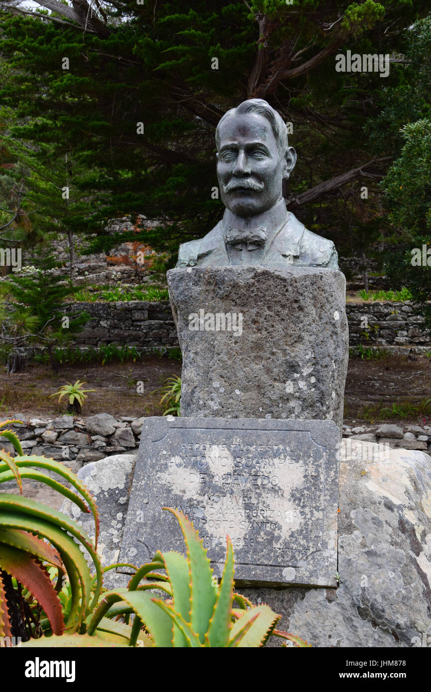 Statue of Antonio Schiappa de Azevedo at the peak of Pico do Castelo ...