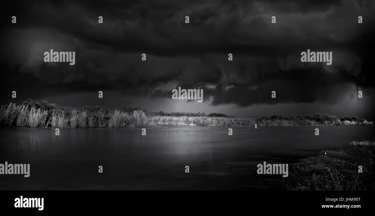 Everglades storm hi-res stock photography and images - Alamy