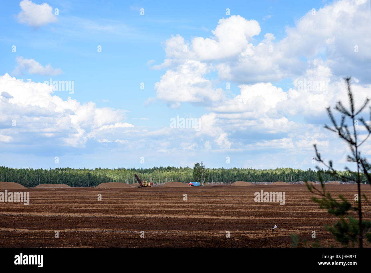 bog and the field on which the production is carried out in black peat ...