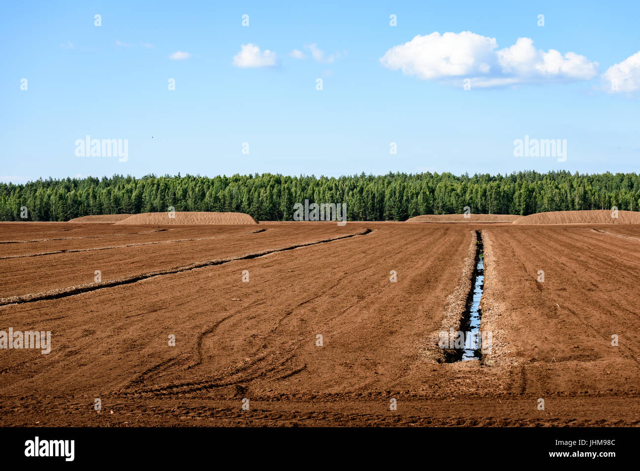 bog and the field on which the production is carried out in black peat ...