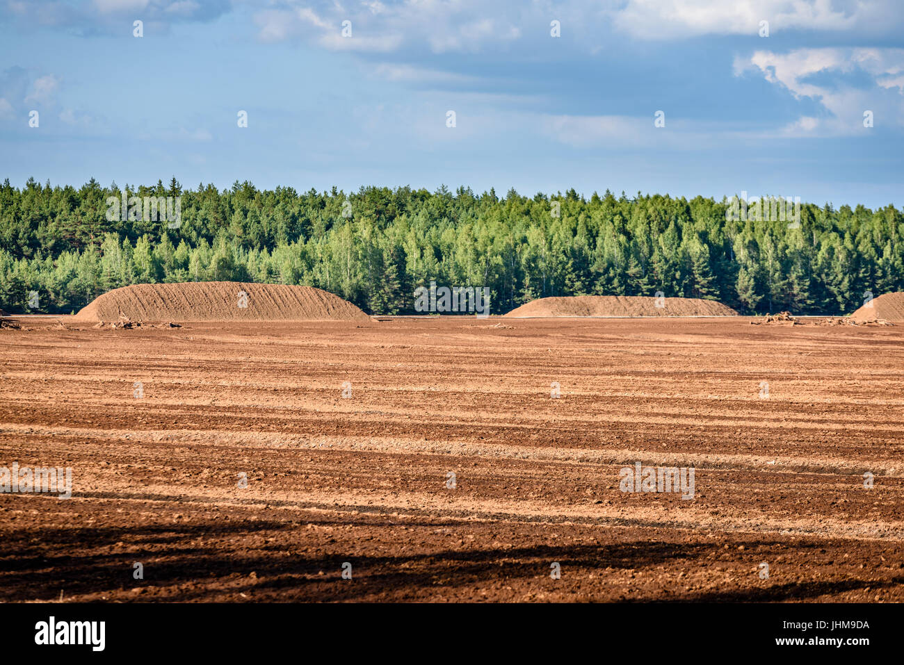 bog and the field on which the production is carried out in black peat ...