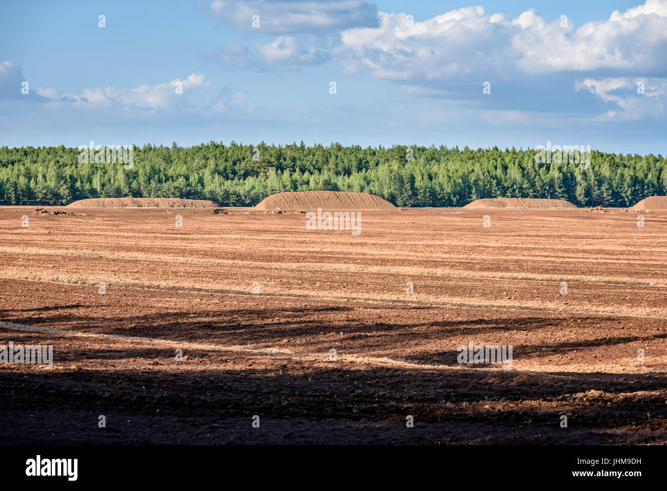 bog and the field on which the production is carried out in black peat ...
