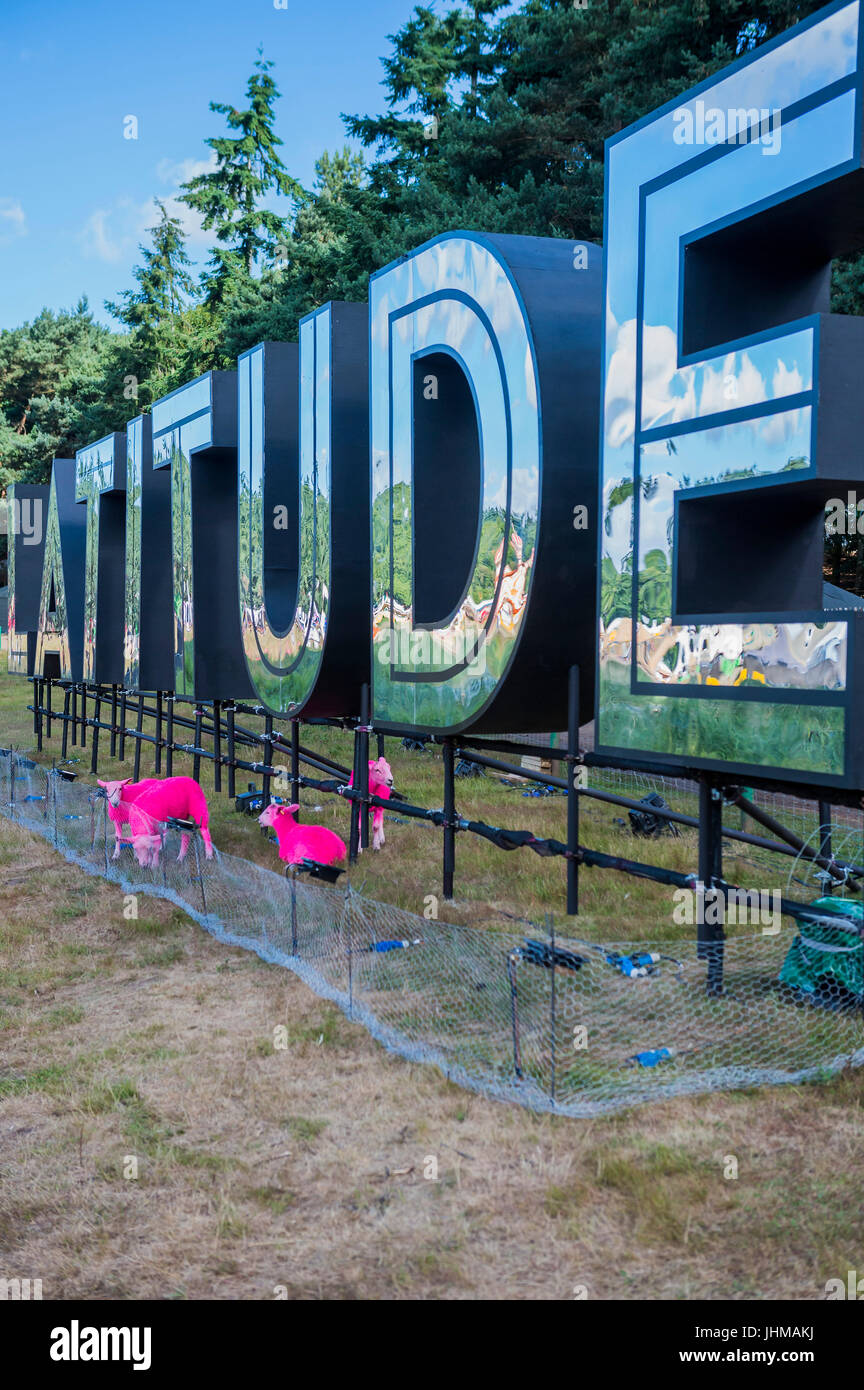 Suffolk, UK. 14th July, 2017. The famous dyed sheep and the reflective ...
