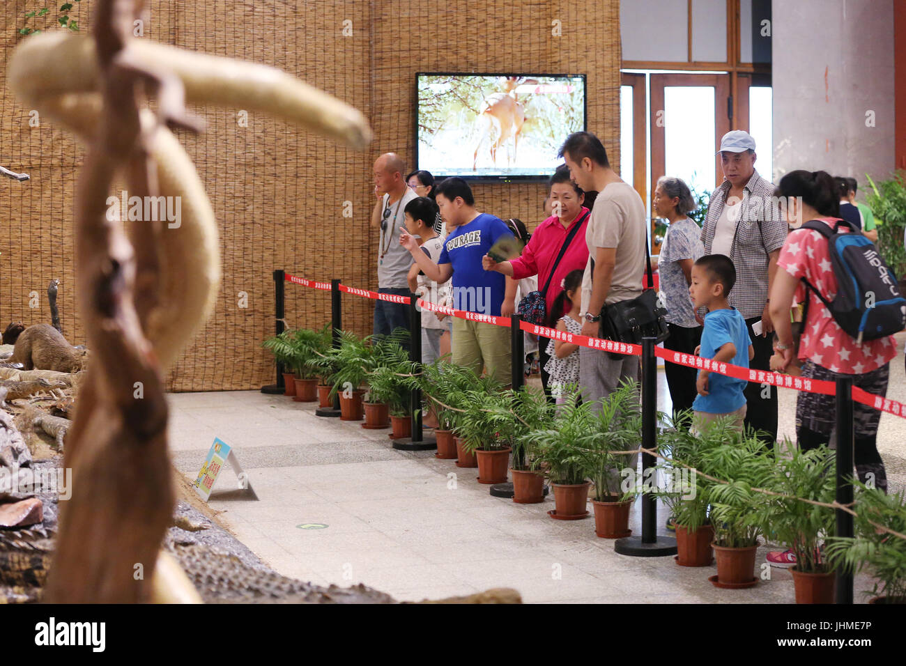 Shijiazhuang, China's Hebei Province. 14th July, 2017. People look at ...