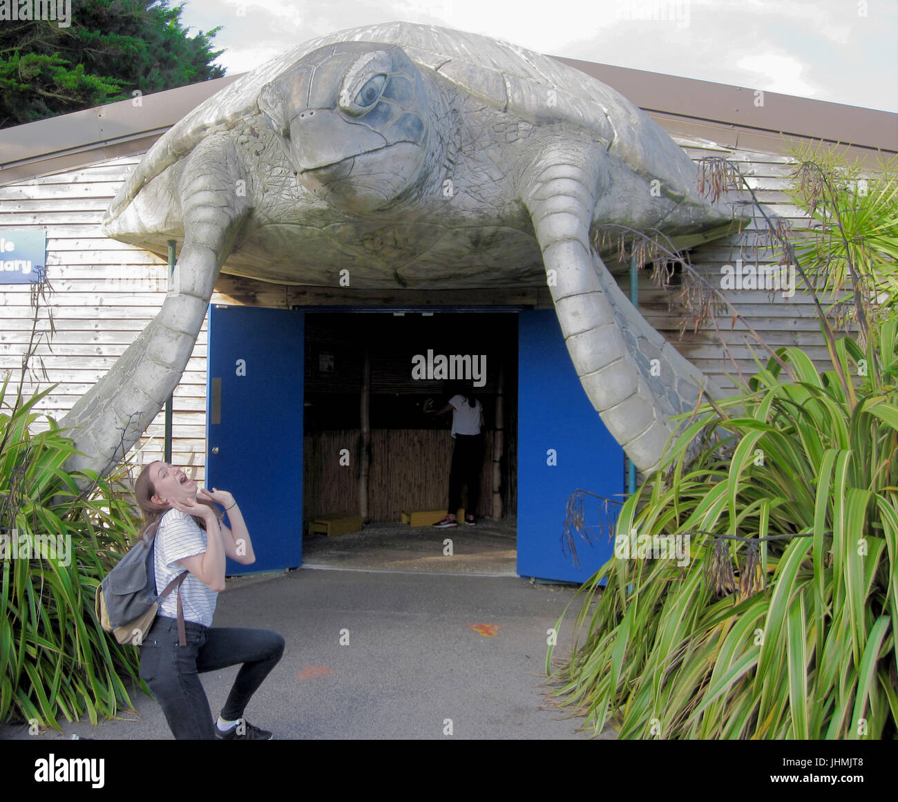 Dorset, UK. 14th July, 2017. Terrifying turtle on a fine evening at ...