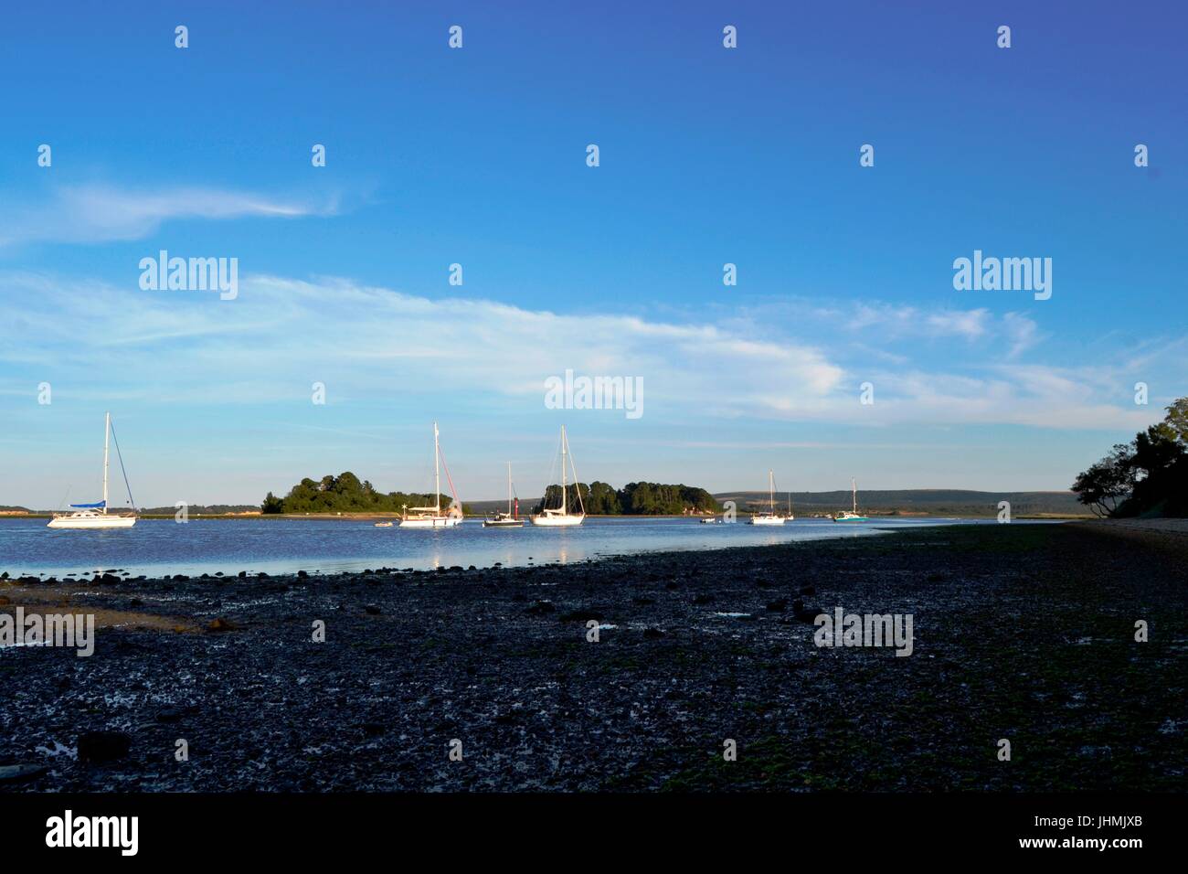 Wareham, Dorset, UK. 14th July, 2017. Arne nature, reserve. Poole ...