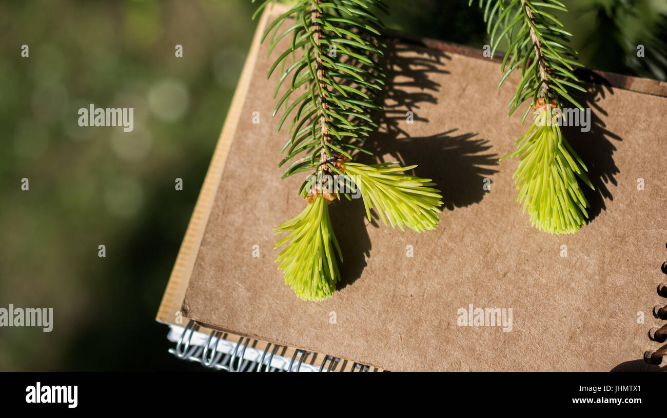 Leaves in hand over a notebook page Stock Photo - Alamy