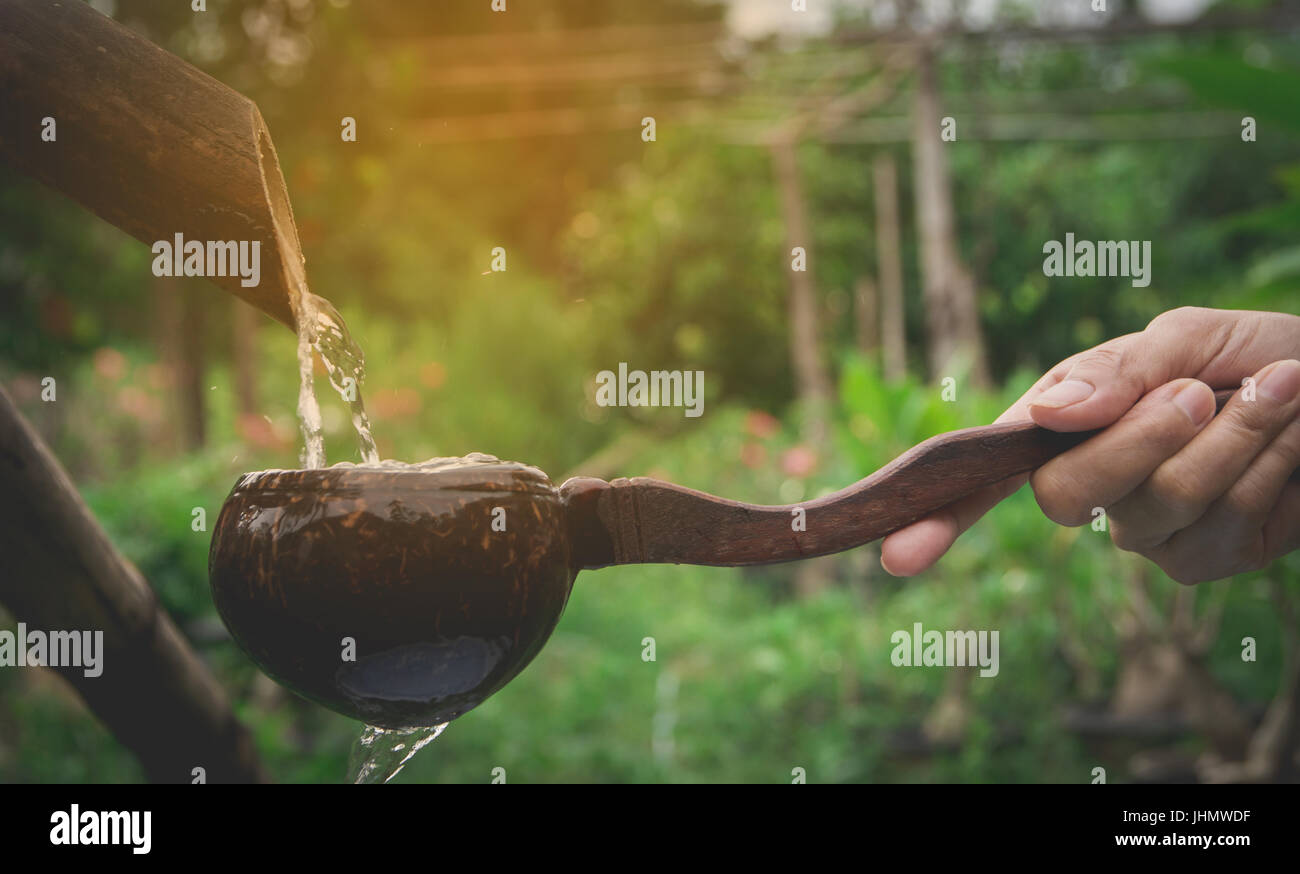 Water pouring in coconut shell and hand holding the water bowl made ...