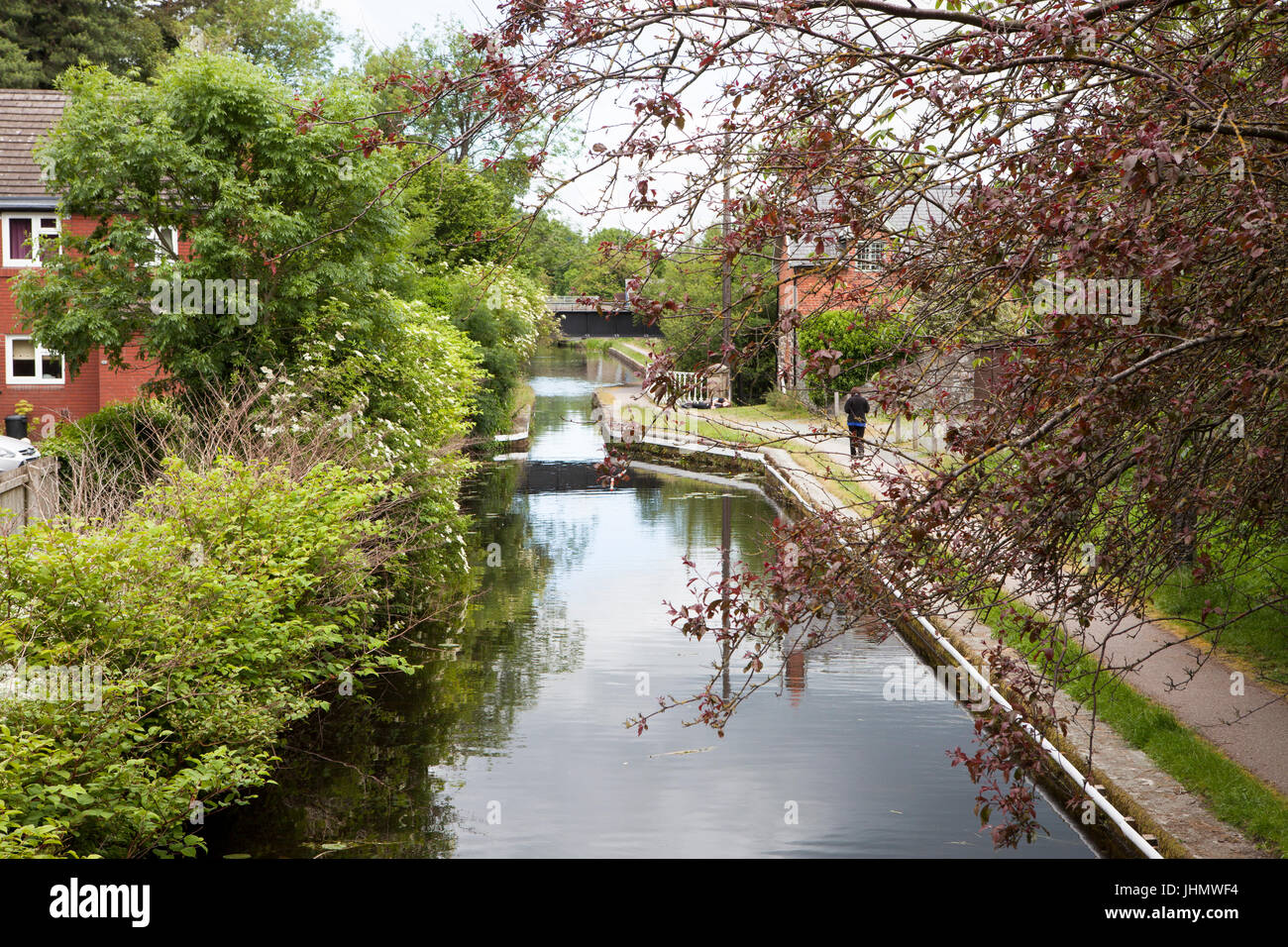 Montgomery Canal in Welshpool, Powys in Wales United Kingdom Stock ...