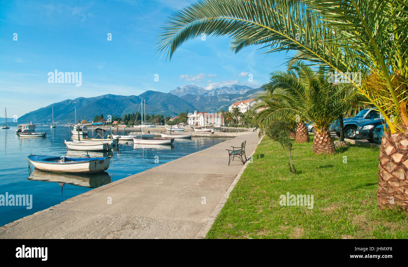 waterfront promenade with palm trees and boats in Tivat, Montenegro ...