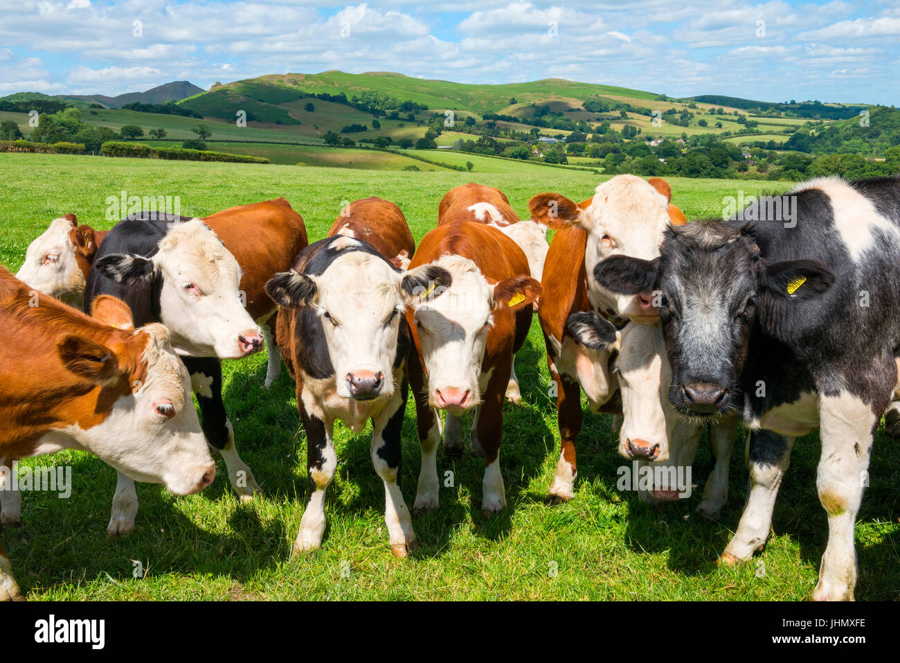 Hope bowdler hi-res stock photography and images - Alamy