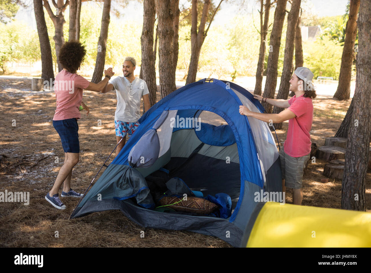 Smiling friends preparing tent on field Stock Photo - Alamy