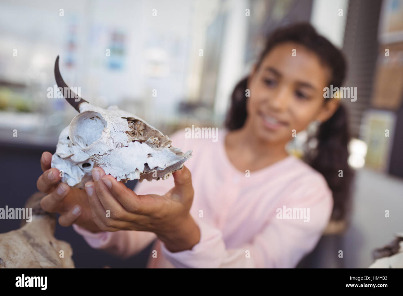 Elementary student examining animal skull at science laboratory Stock ...