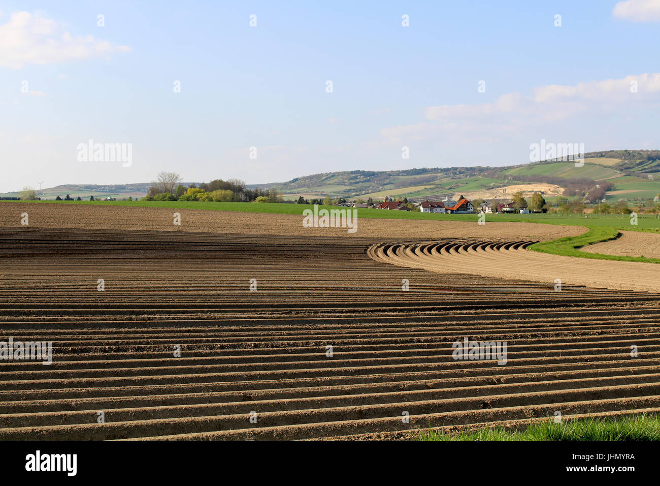 Walking through the potato fields on a sunny day Stock Photo - Alamy