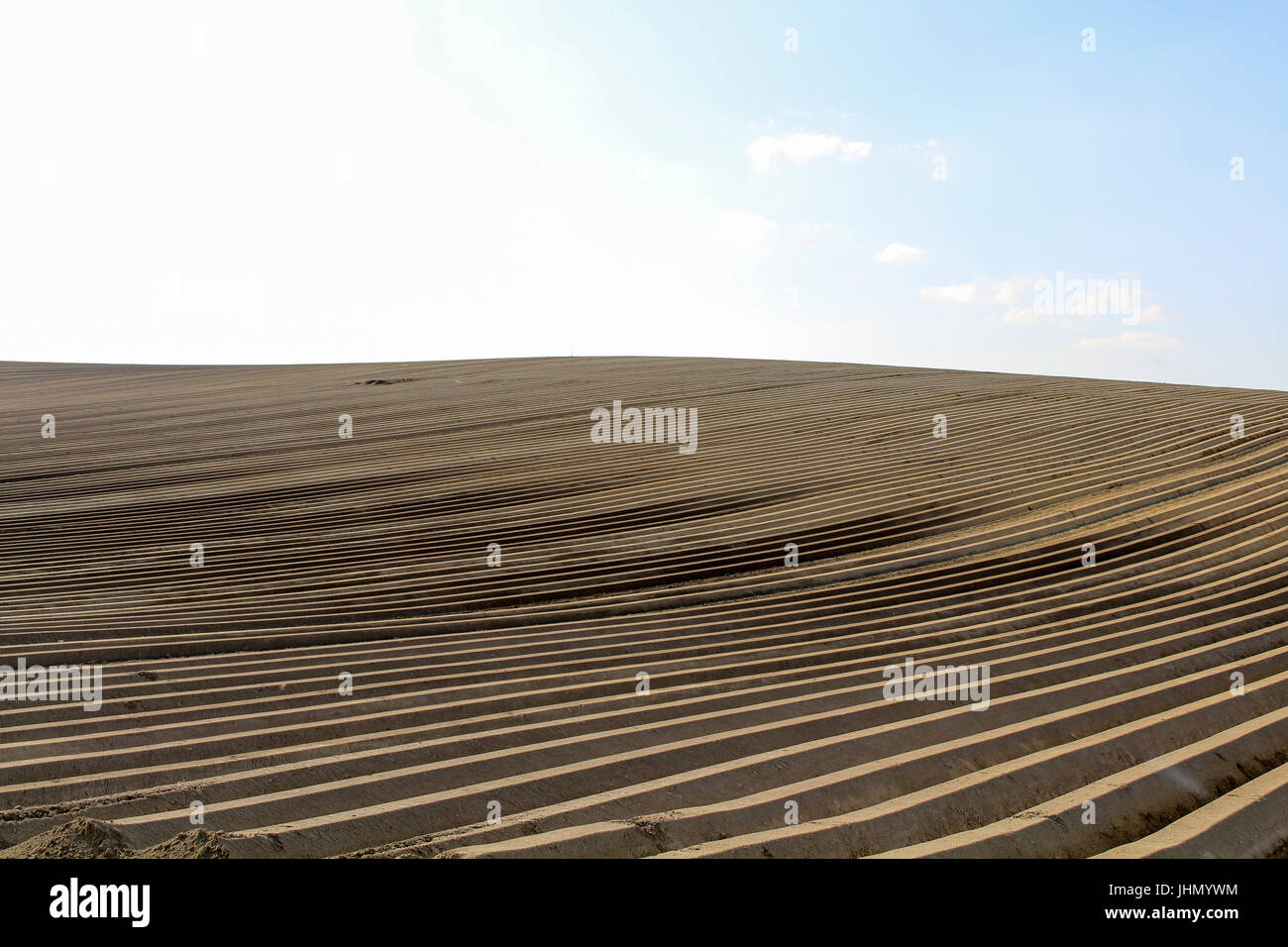 Walking through the potato fields on a sunny day Stock Photo - Alamy