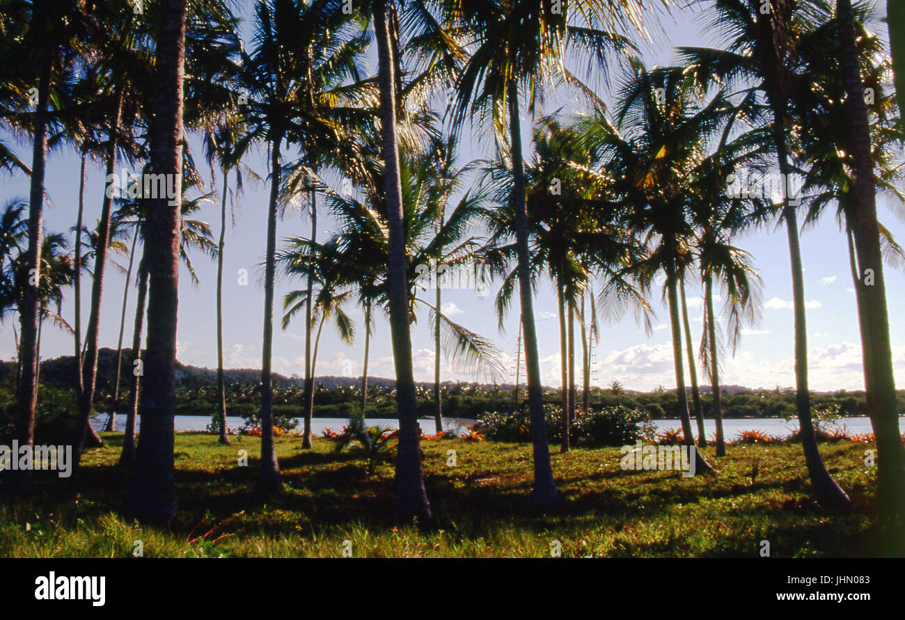 View of the historic city; Santa Cruz de Cabrália; Bahia; Brazil Stock ...