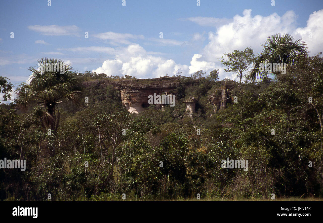 Cave aroe jari hi-res stock photography and images - Alamy
