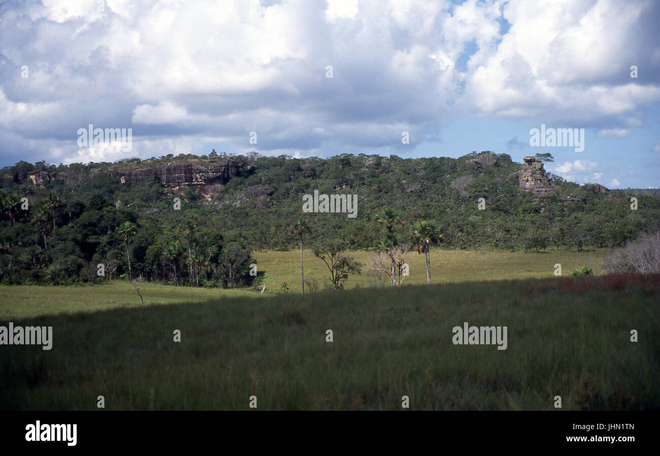 Aroe Jari Cave High Resolution Stock Photography and Images - Alamy