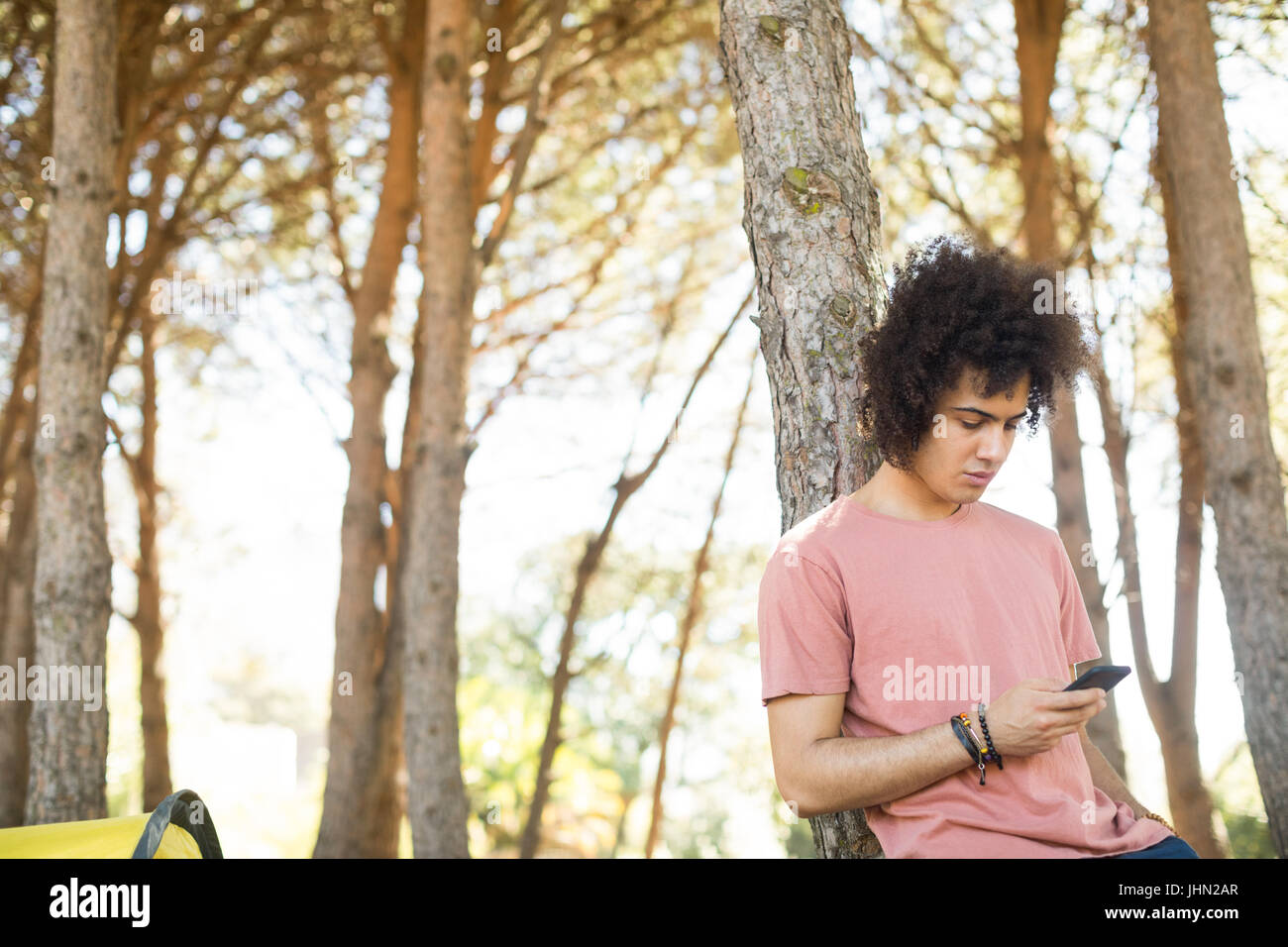 Young man using mobile phone while leaning on tree trunk at forest ...