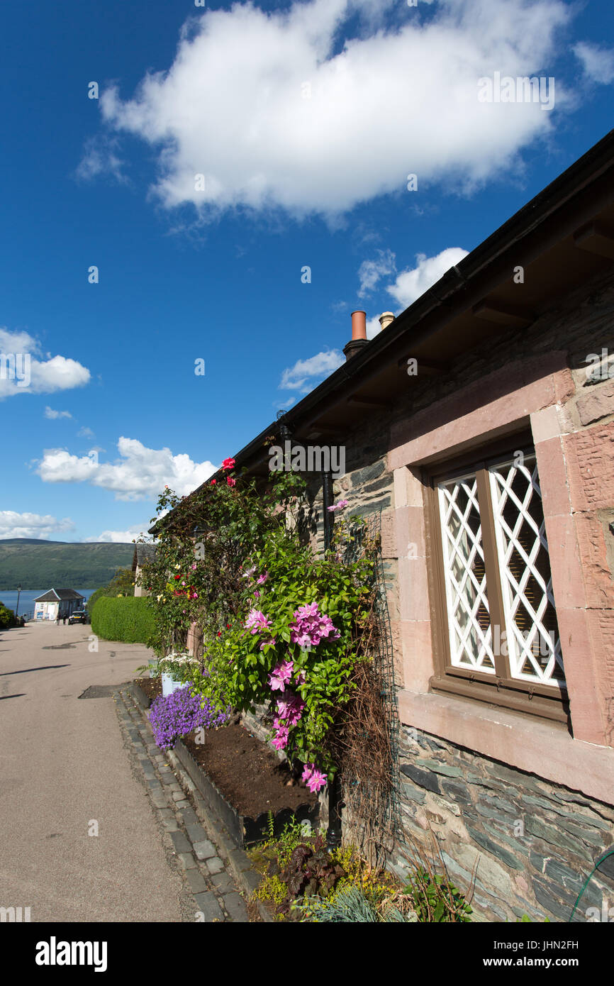 Clematis house hi-res stock photography and images - Alamy