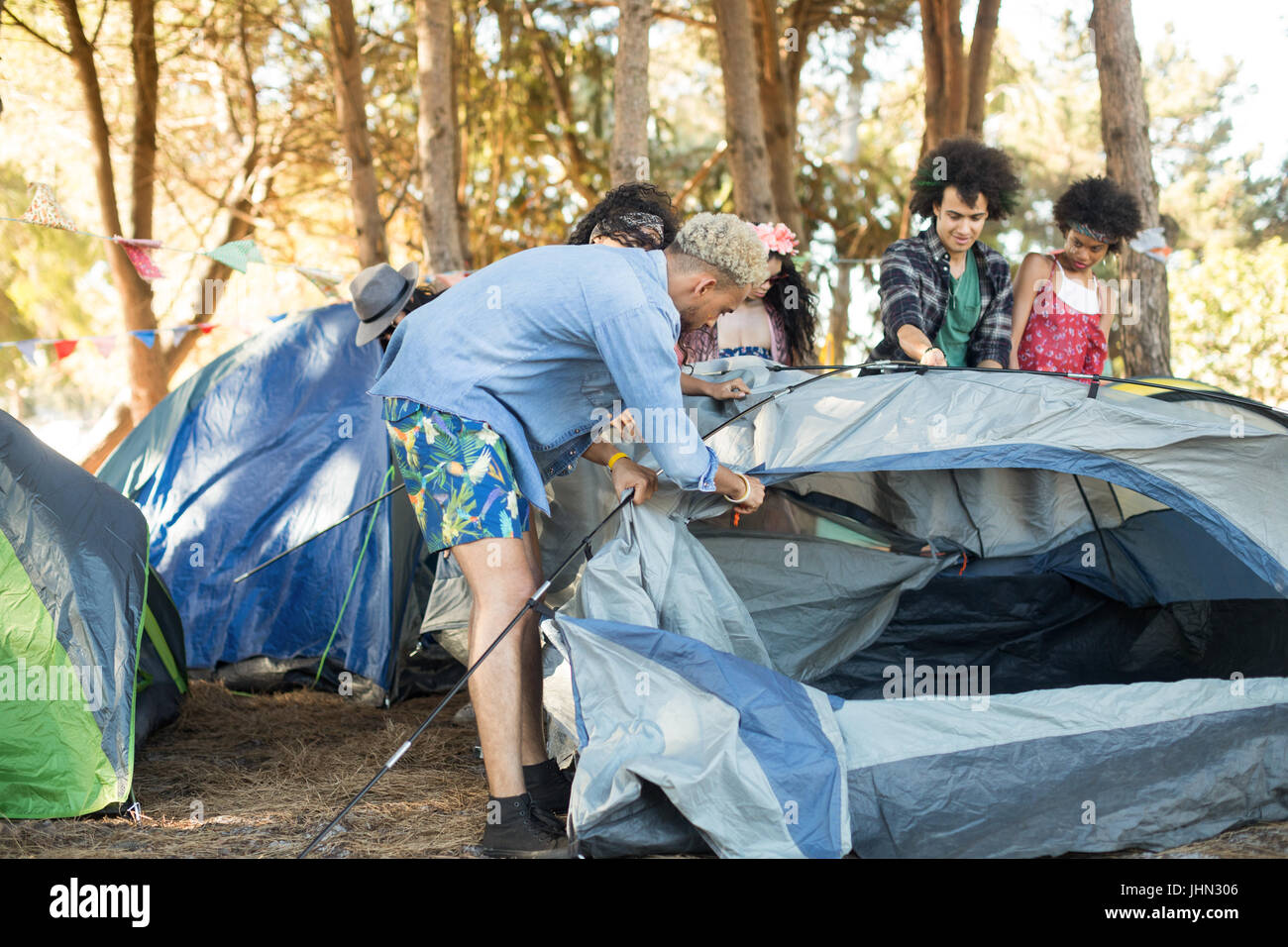 Young friends setting up tents together at forest Stock Photo - Alamy