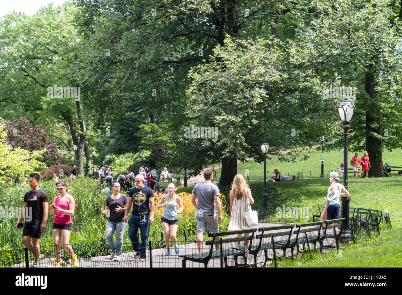 Summer central park hi-res stock photography and images - Alamy