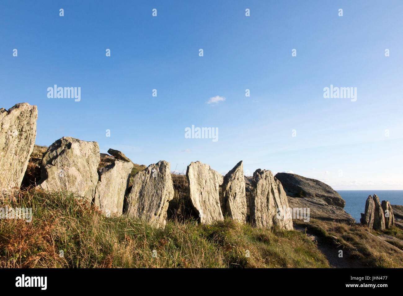 Devon field walls hi-res stock photography and images - Alamy