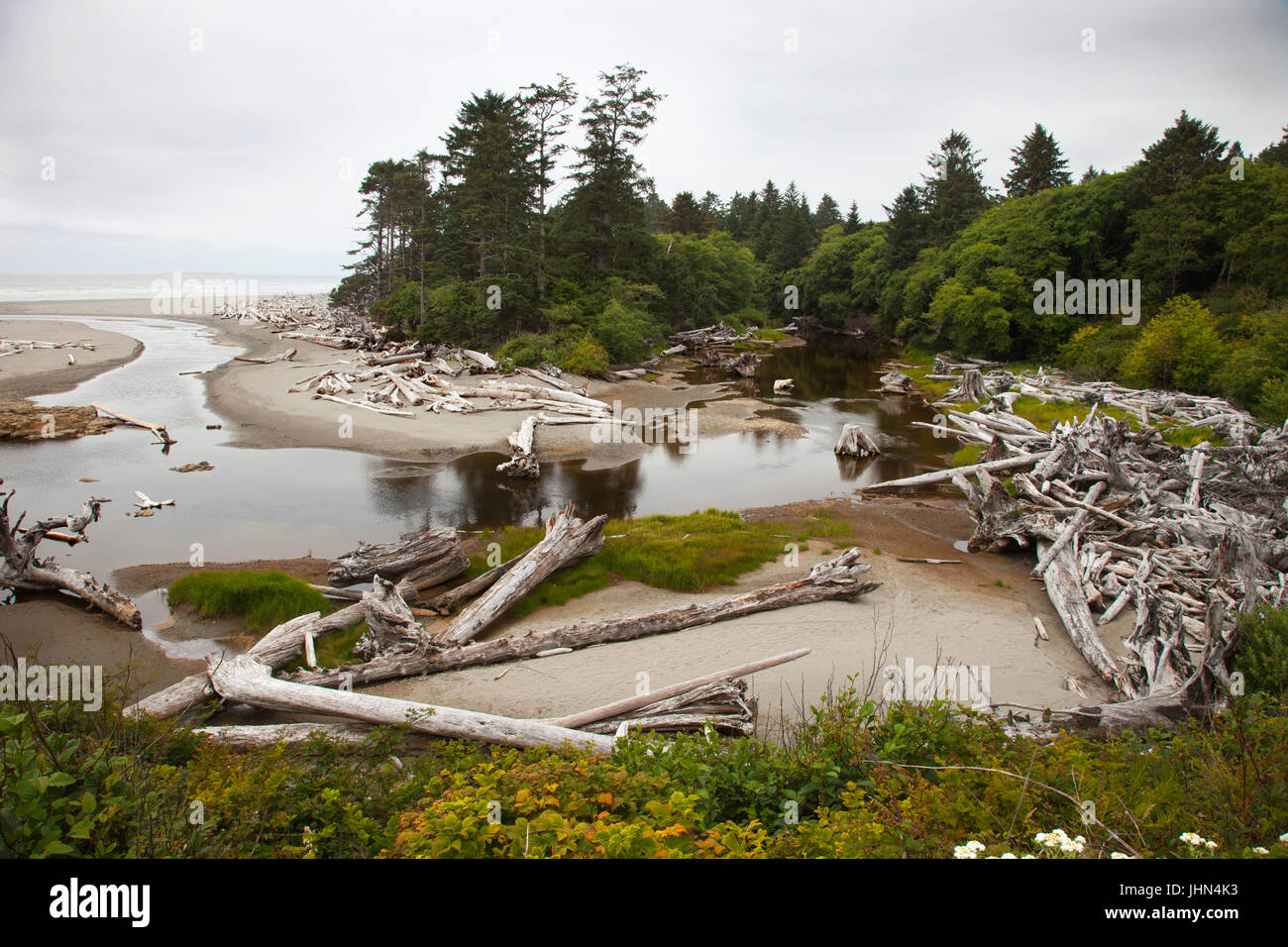 Kalaloch beach hi-res stock photography and images - Alamy