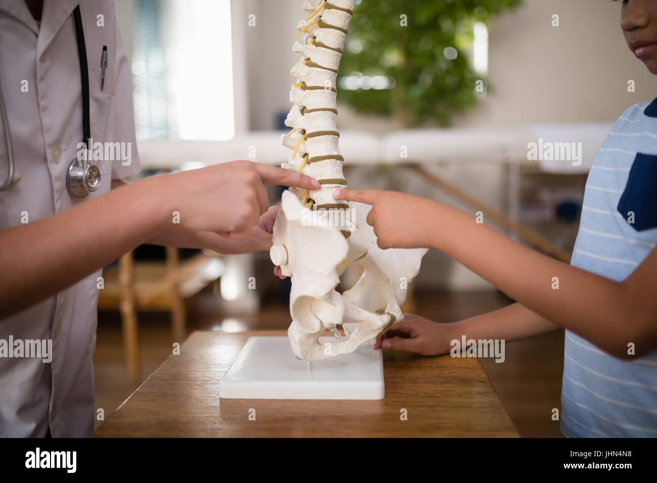 Midsection of female therapist and boy pointing at artificial spine on ...