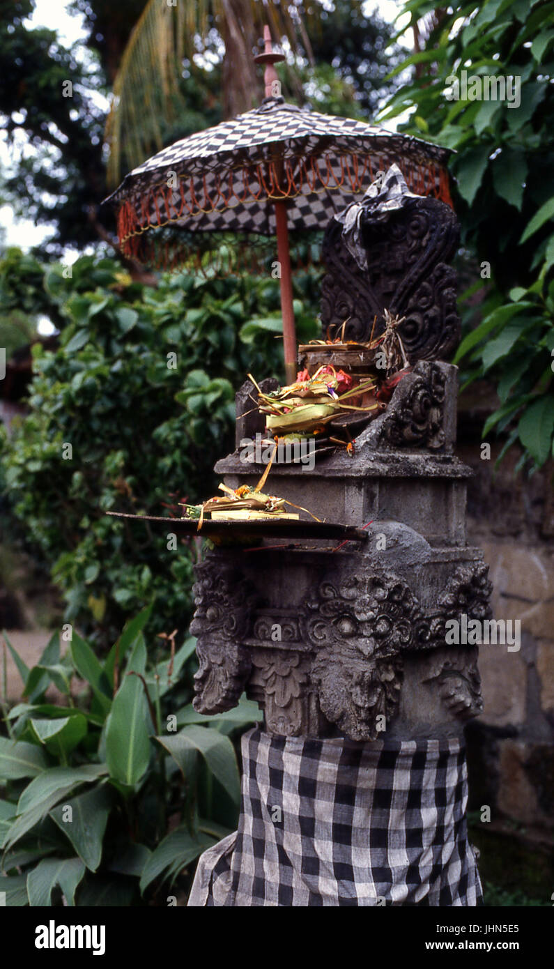 Trees and gods plants hi-res stock photography and images - Alamy