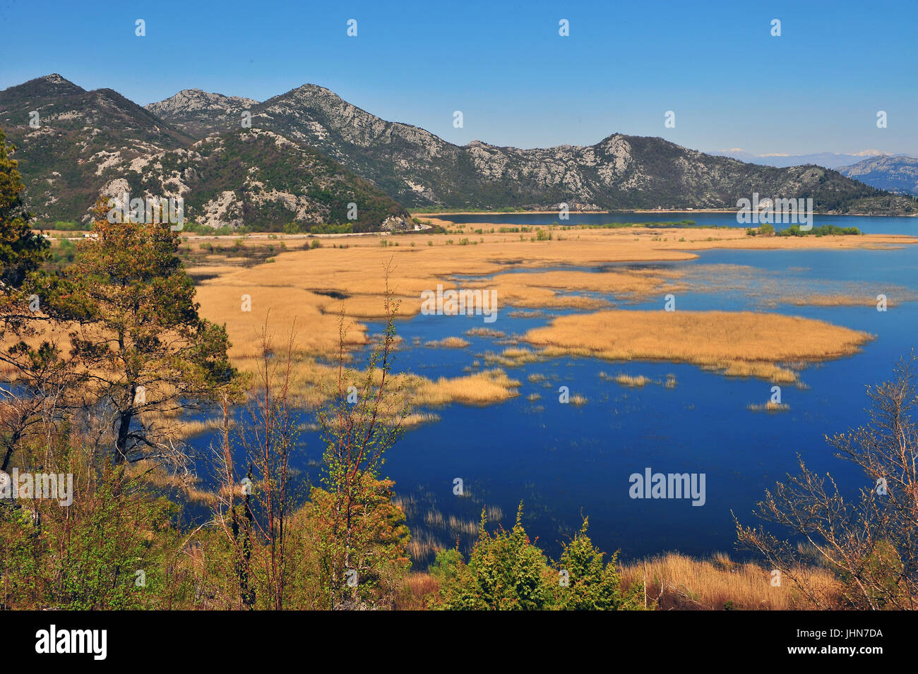 Skadar lake on summer, natural landscape of Montenegro Stock Photo - Alamy