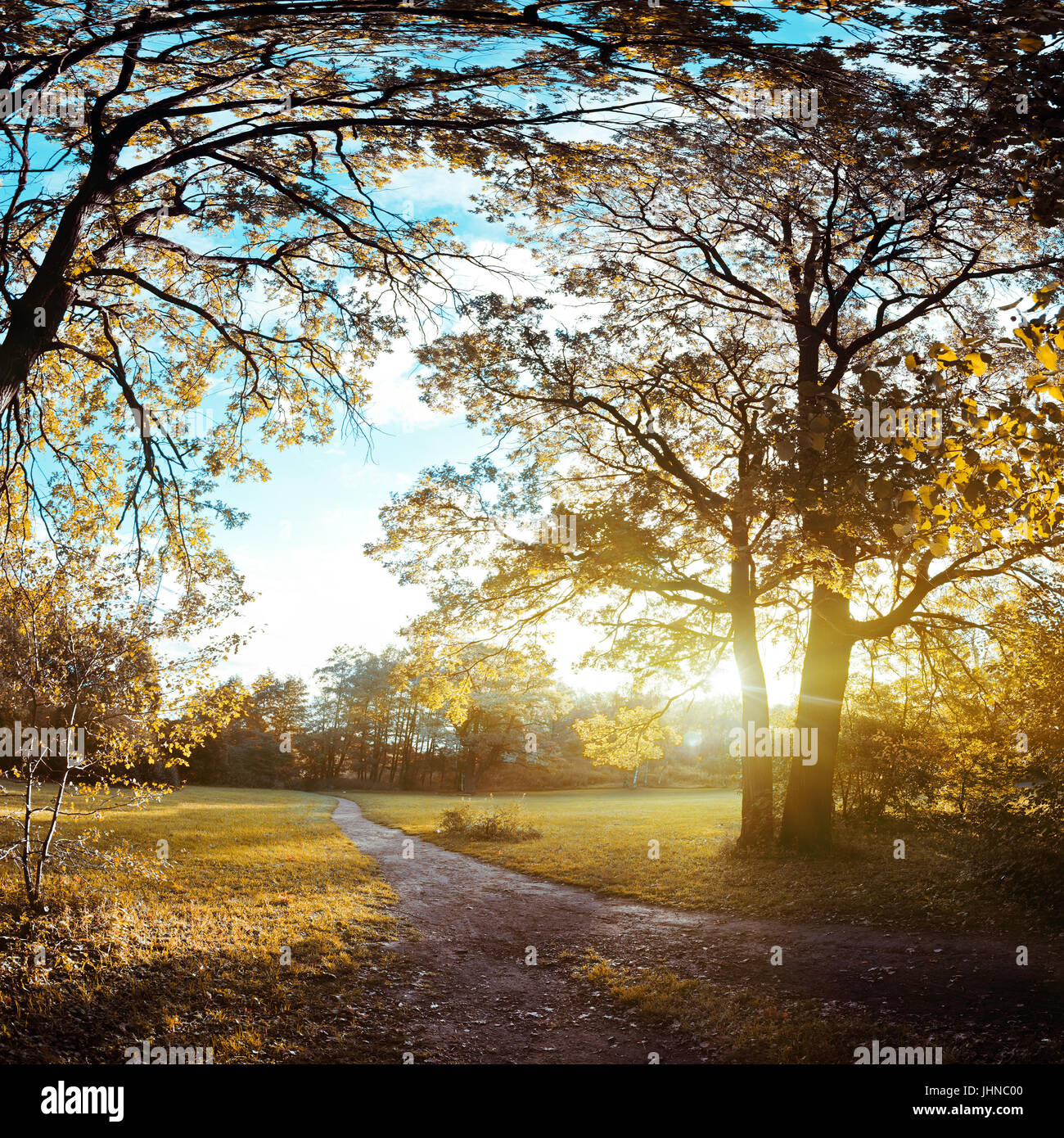 Autumn evening outdoor landscape Stock Photo - Alamy