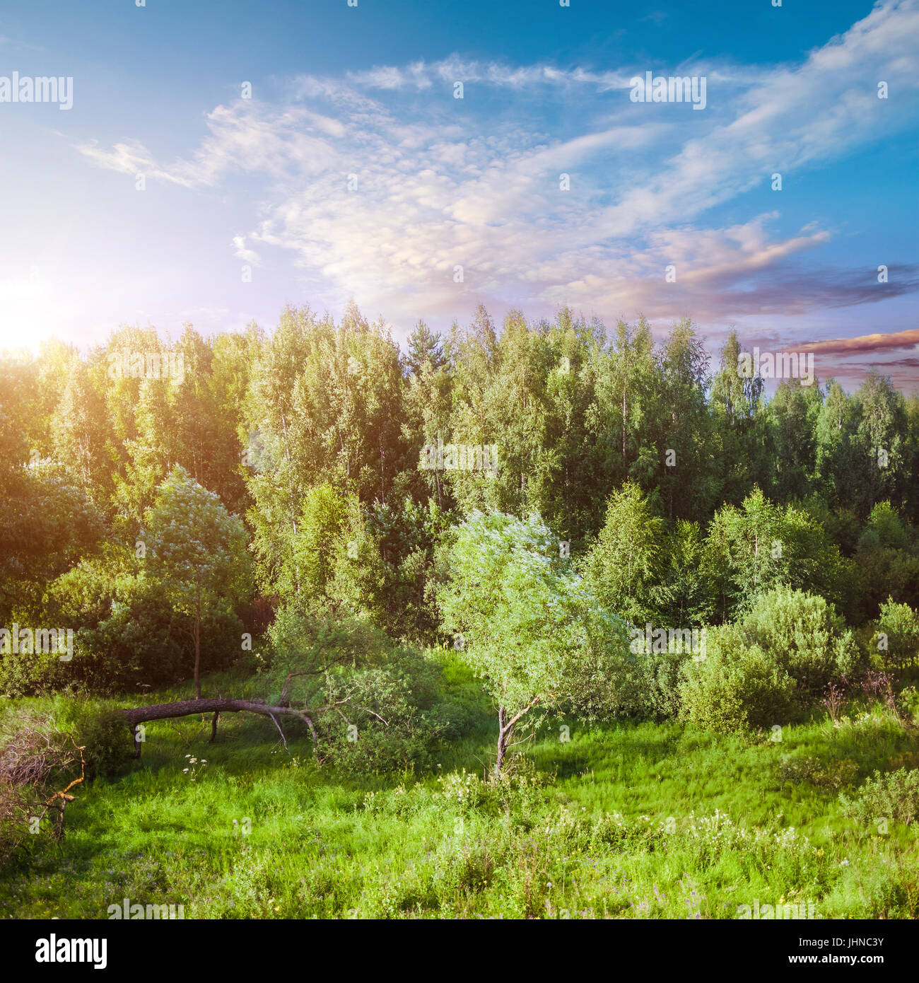 Beautiful autumn landscape panorama hi-res stock photography and images ...