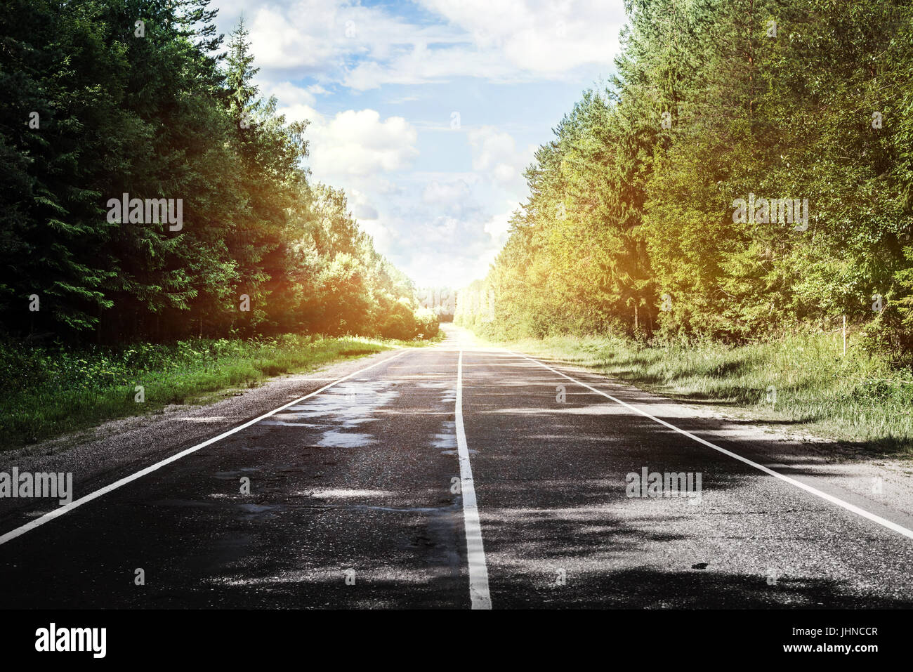 Sunrise beautiful road in forest Stock Photo - Alamy