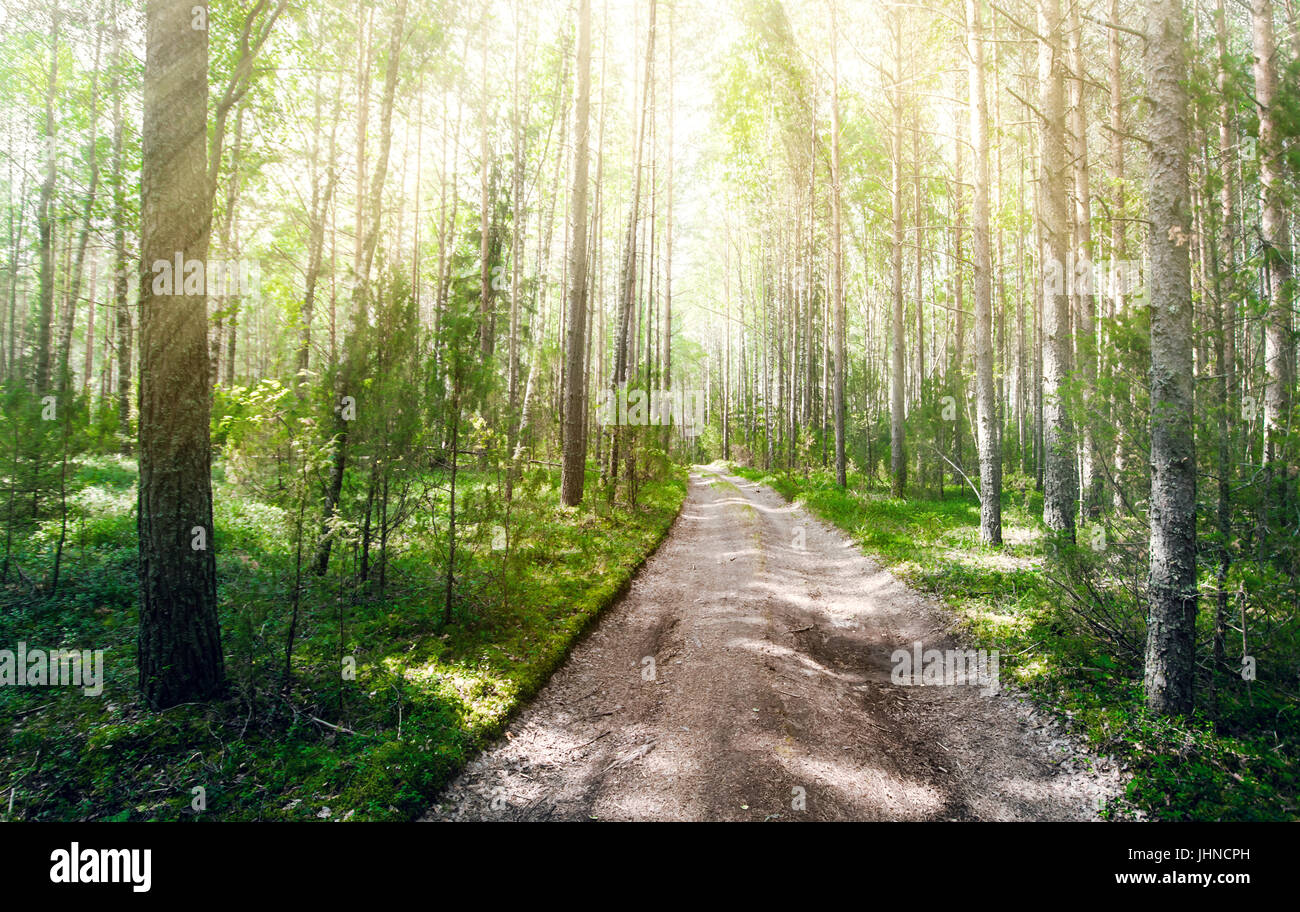 Summer road landscape Stock Photo - Alamy