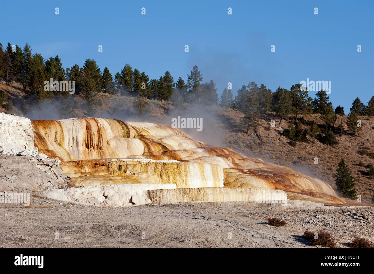 Travertine terrace, Lower Terraces, Mammoth Hot Springs, Yellowstone ...