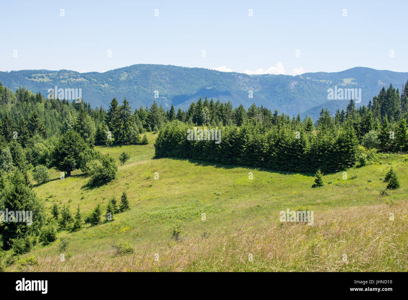 Tara mountain panoramic view hi-res stock photography and images - Alamy