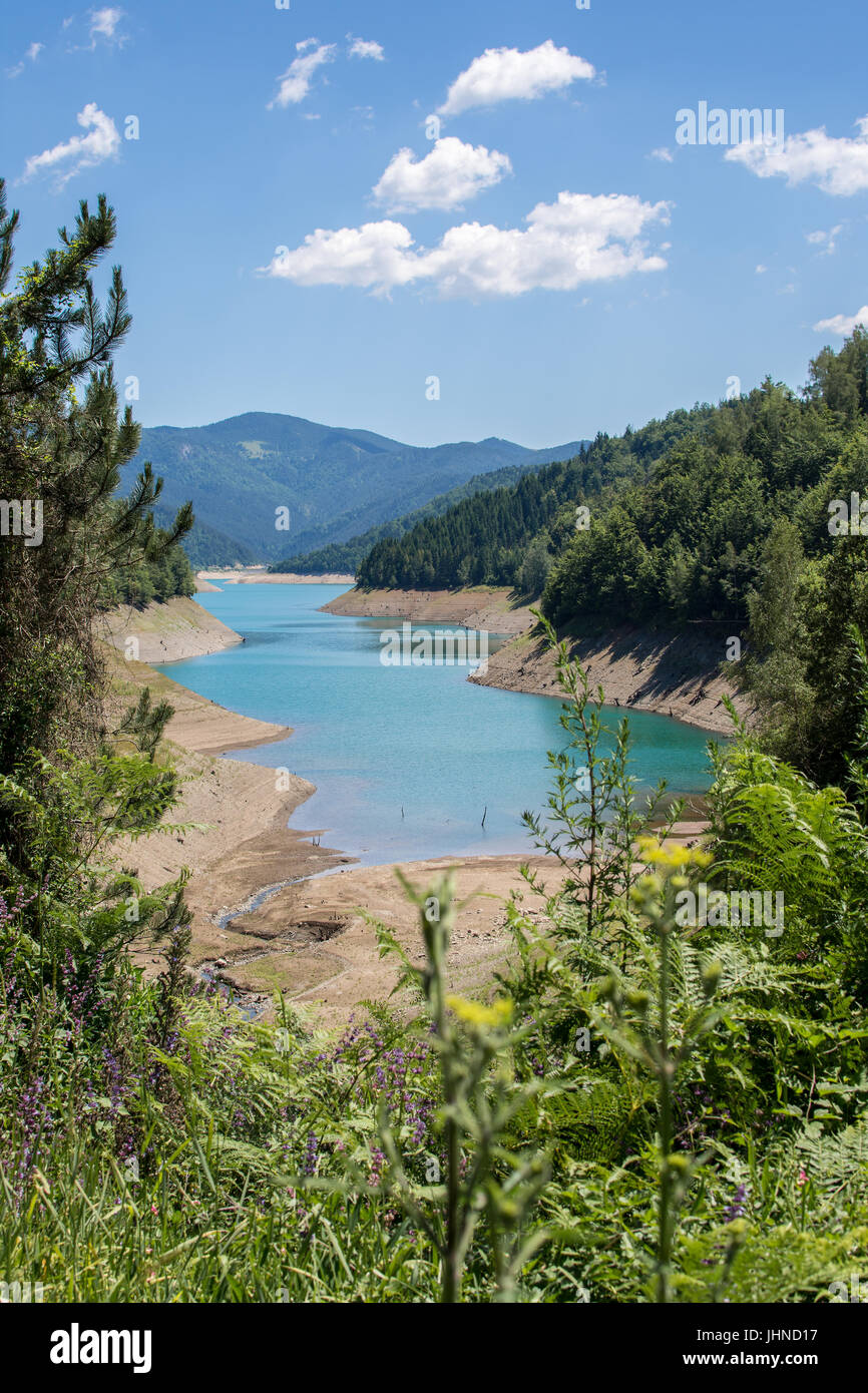 Beautiful Lake Zaovine in Tara Mountain Panoramic View Stock Photo - Alamy