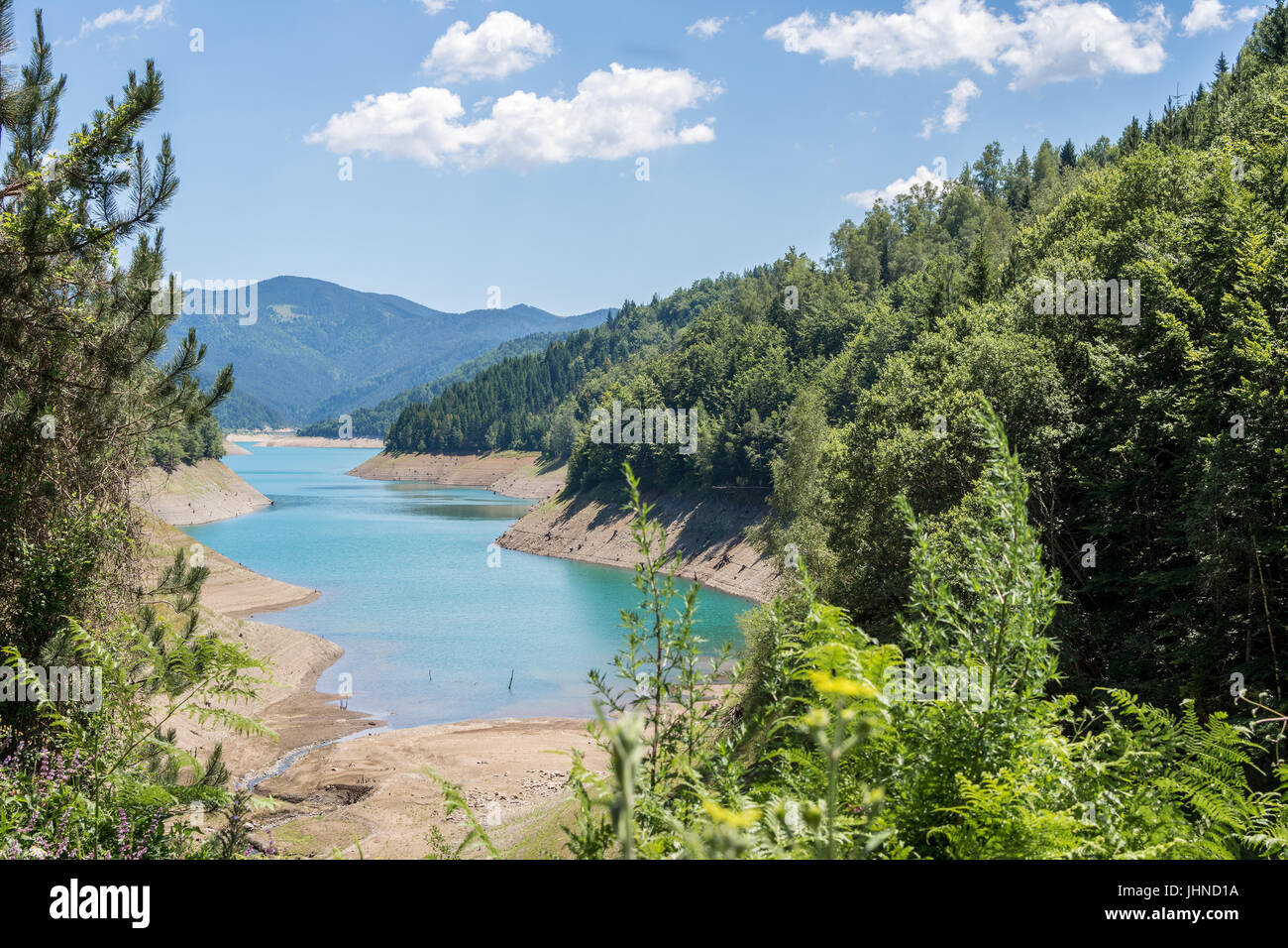 Beautiful Lake Zaovine in Tara Mountain Panoramic View Stock Photo - Alamy