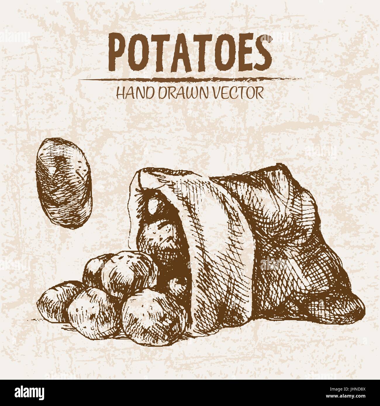 Digital vector detailed line art potato vegetable hand drawn retro ...
