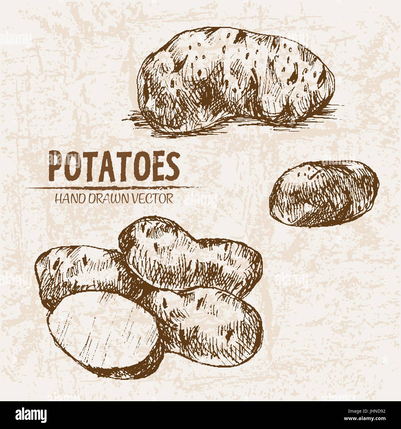 Potato Line Art
