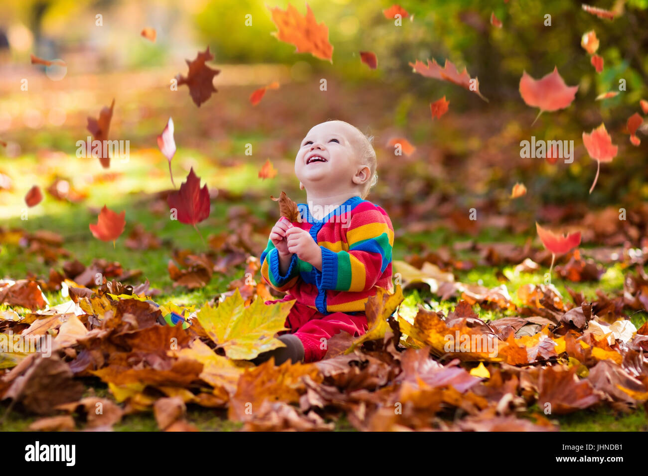 Kids play in autumn park. Children throwing yellow and red leaves.Baby ...