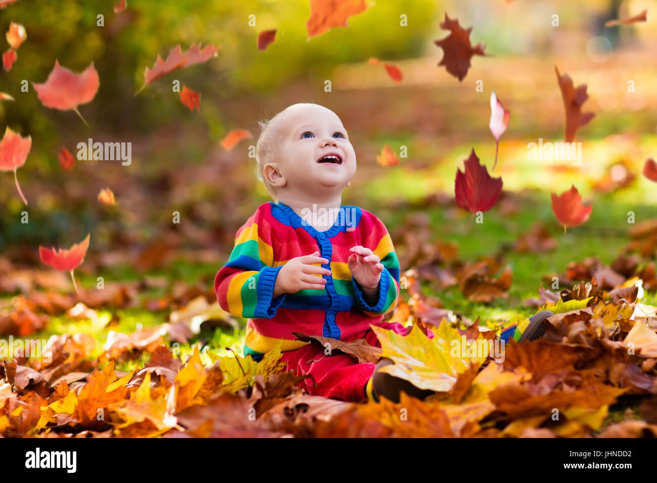 Kids play in autumn park. Children throwing yellow and red leaves.Baby ...