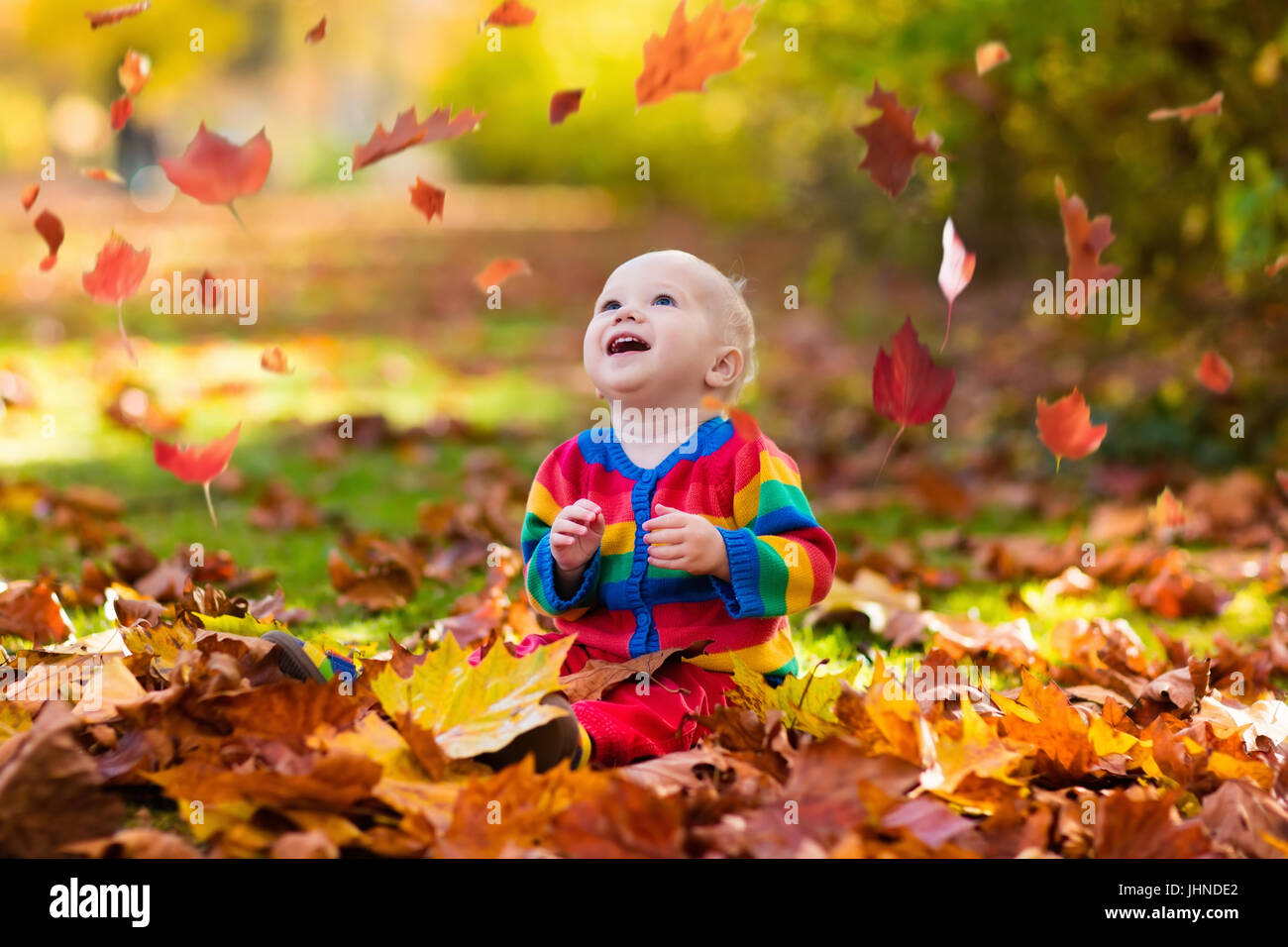 Kids play in autumn park. Children throwing yellow and red leaves.Baby ...